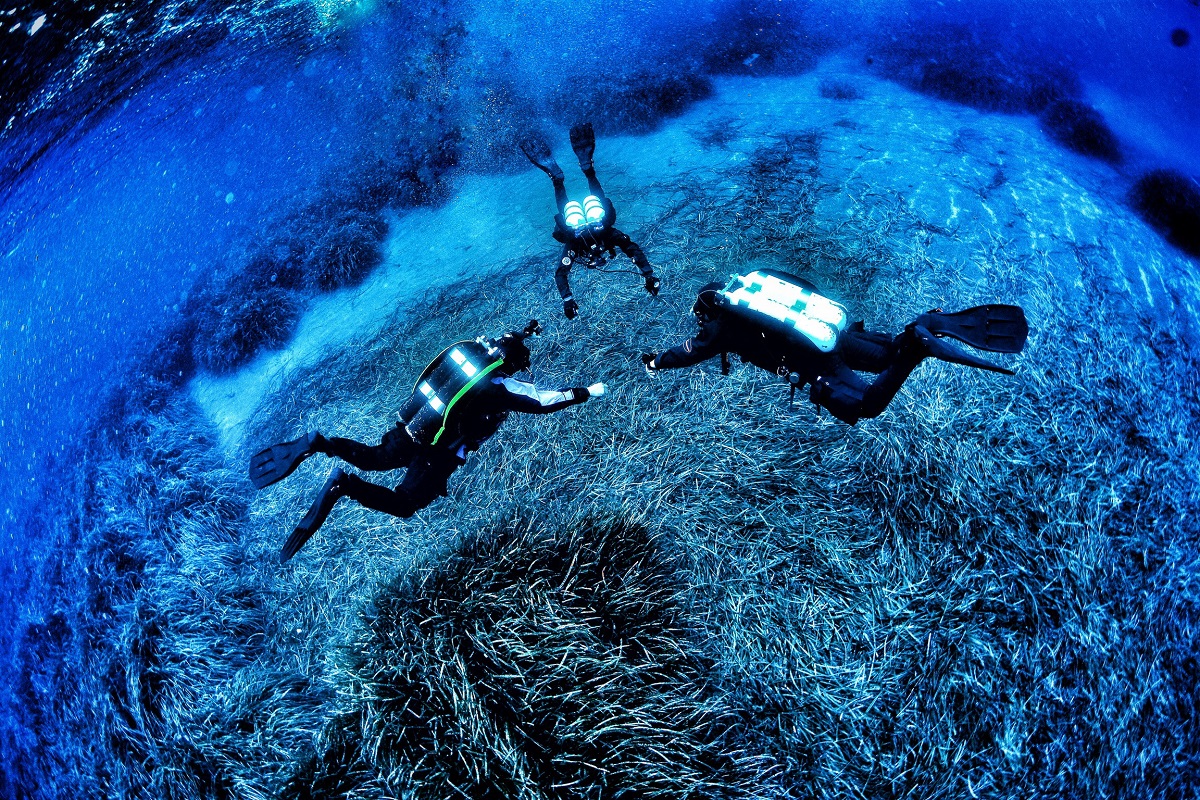 BUCEO TÉCNICO - FEDAS - eLearning